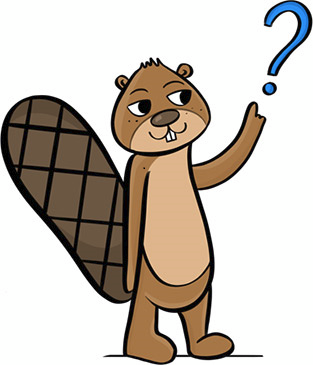 התנסות ותרגול - Bebras Israel